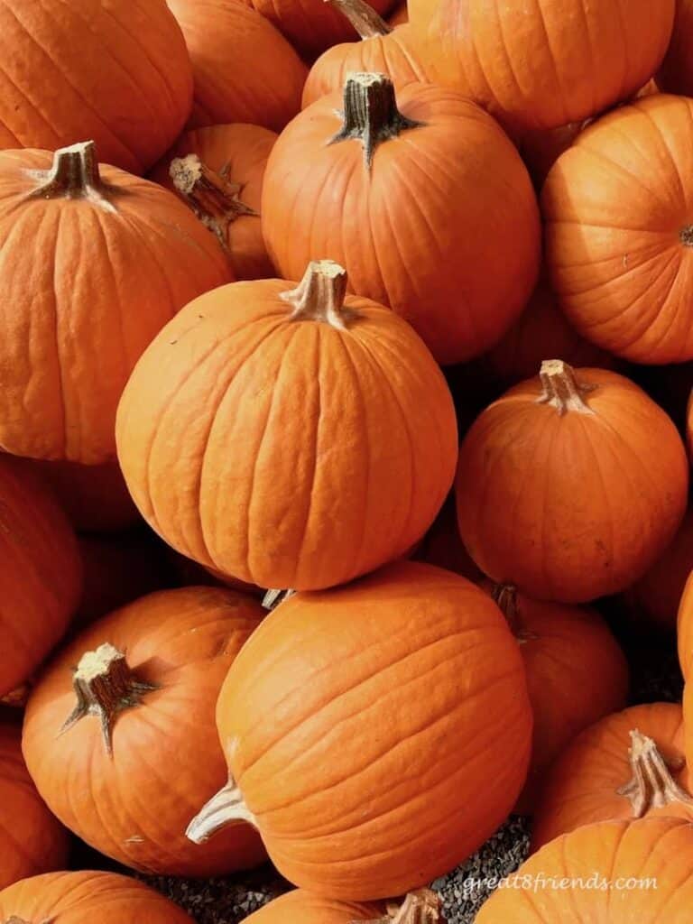 Fall is All Things Pumpkin - Great Eight Friends