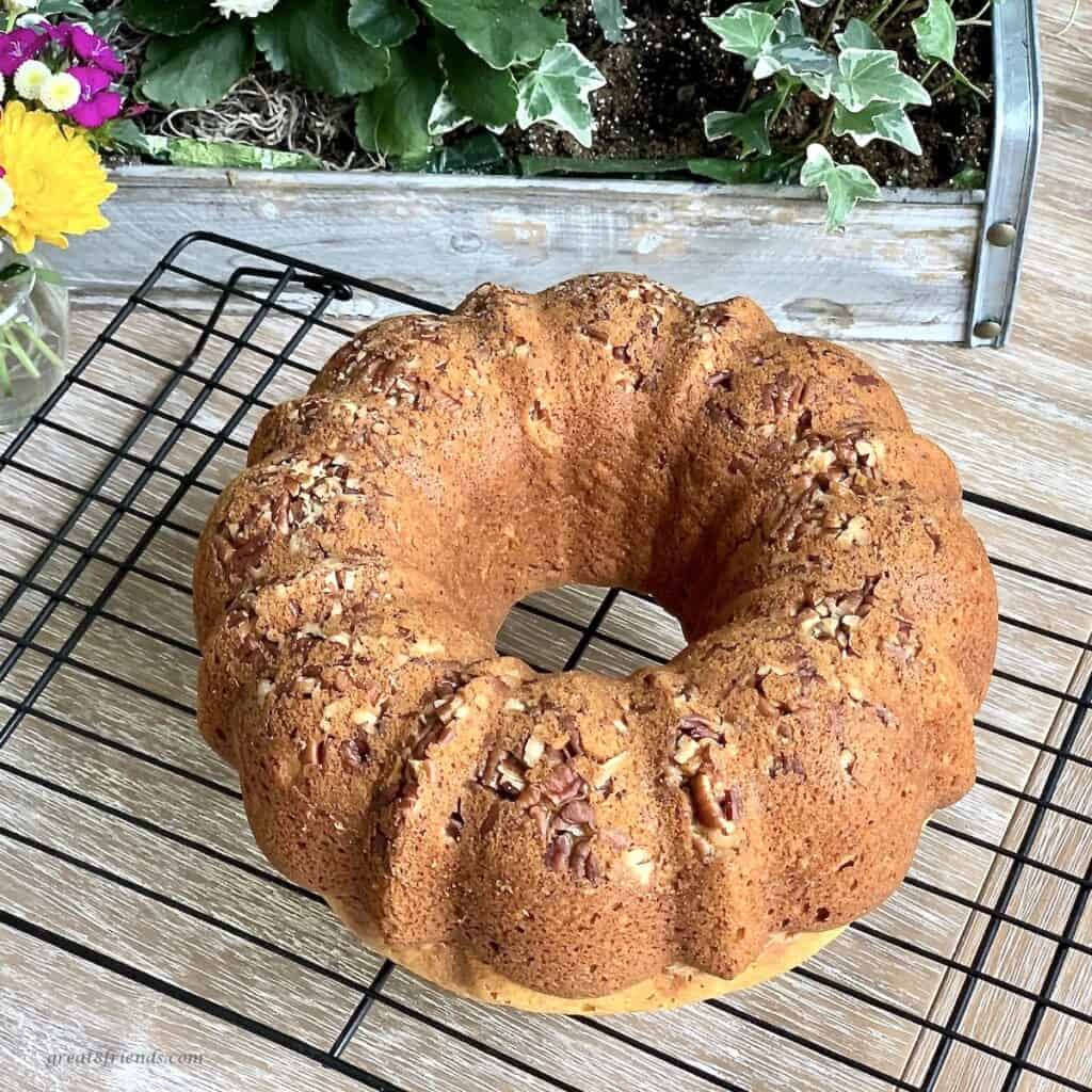 Jamaican Appleton Rum Cake Recipe - Great Eight Friends